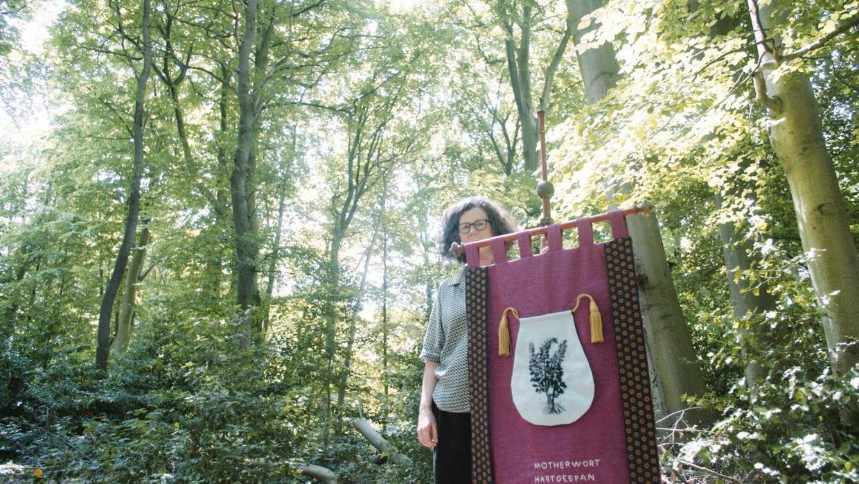 Planten en anticonceptie | Middelheimblog